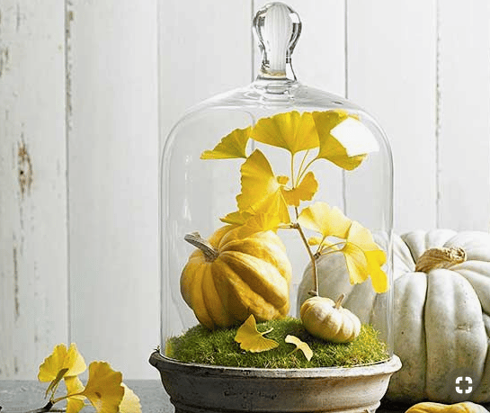 Fall into Autumn with These Interior Design Ideas for Your Home